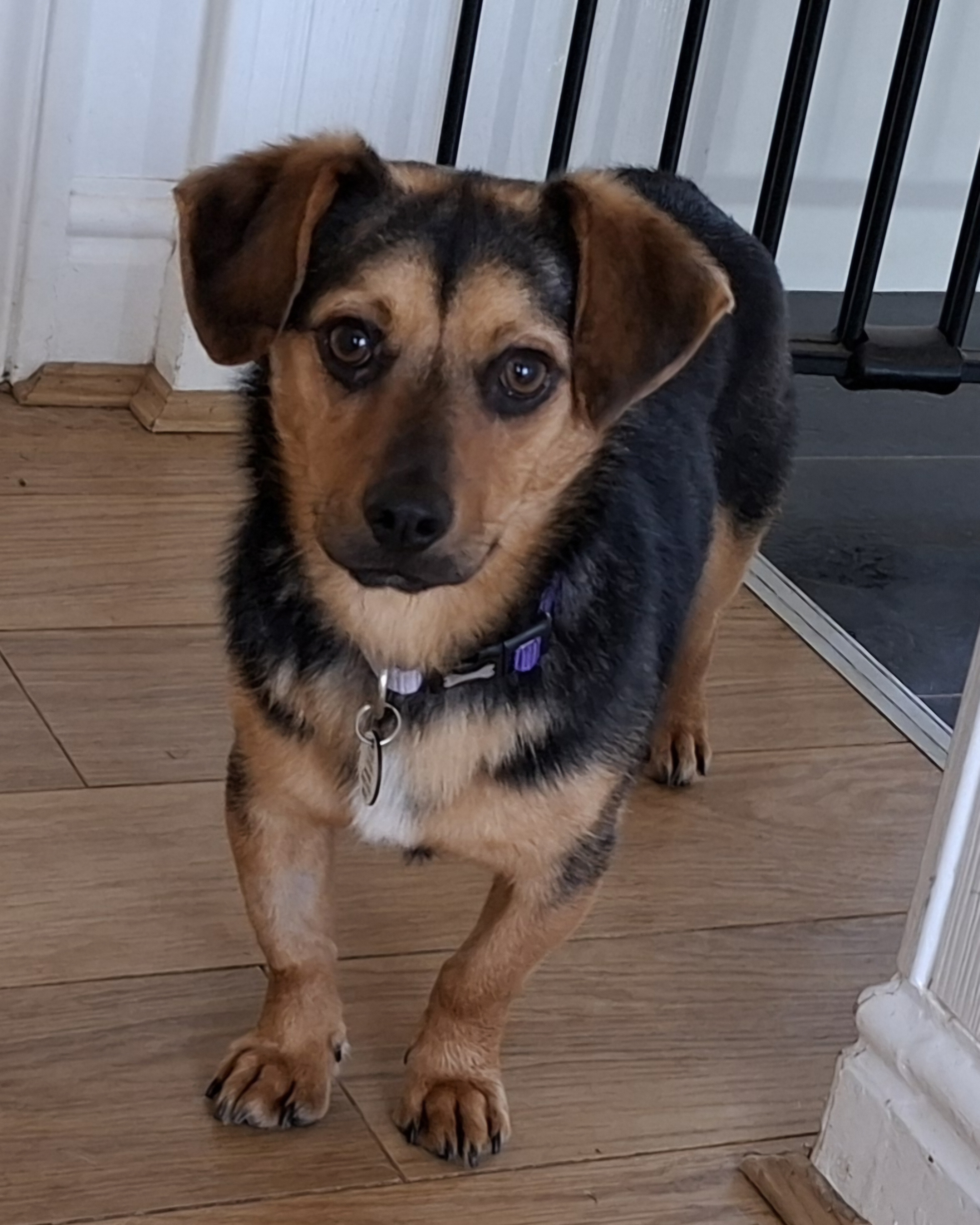 Heathlands Animal Sanctuary : Murray